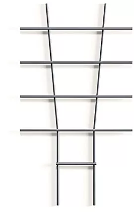 Alles over het planten van de klimroos | vtwonen