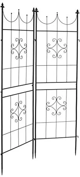 Alles over het planten van de klimroos | vtwonen